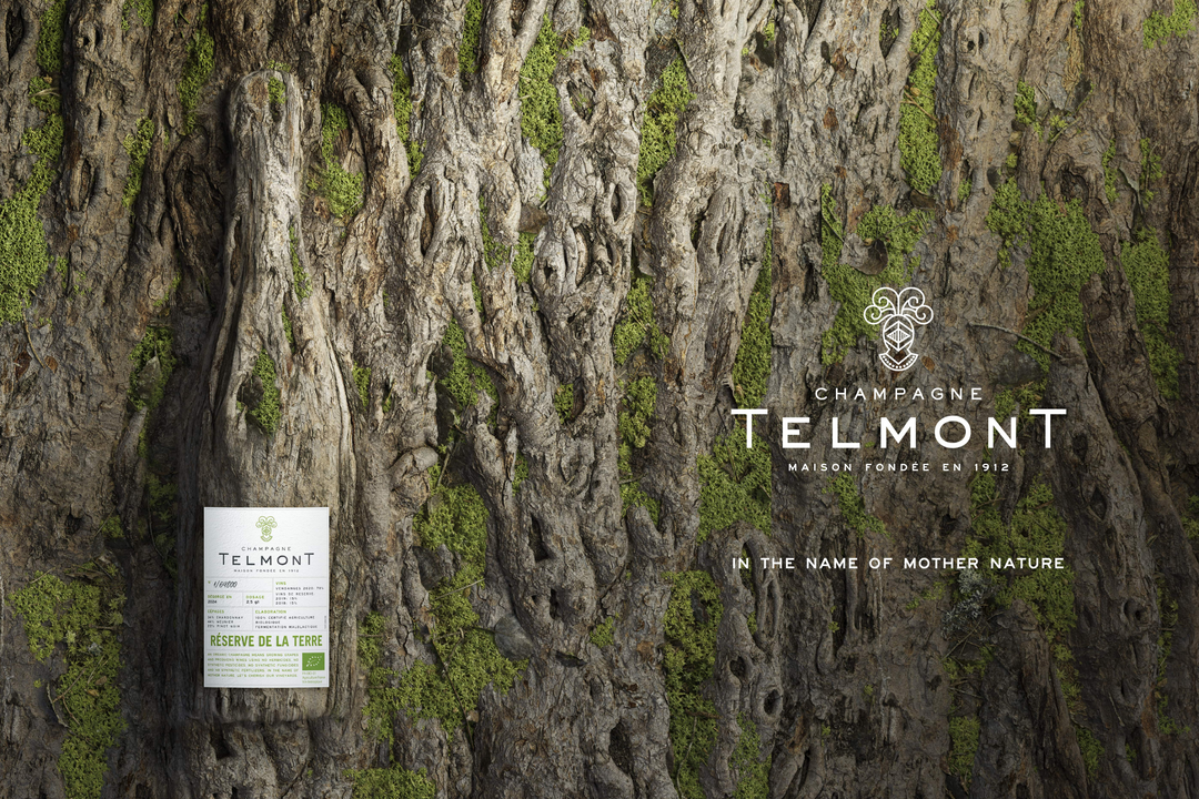 Champagne Telmont, maison fondée en 1912 – Champagne Telmont France