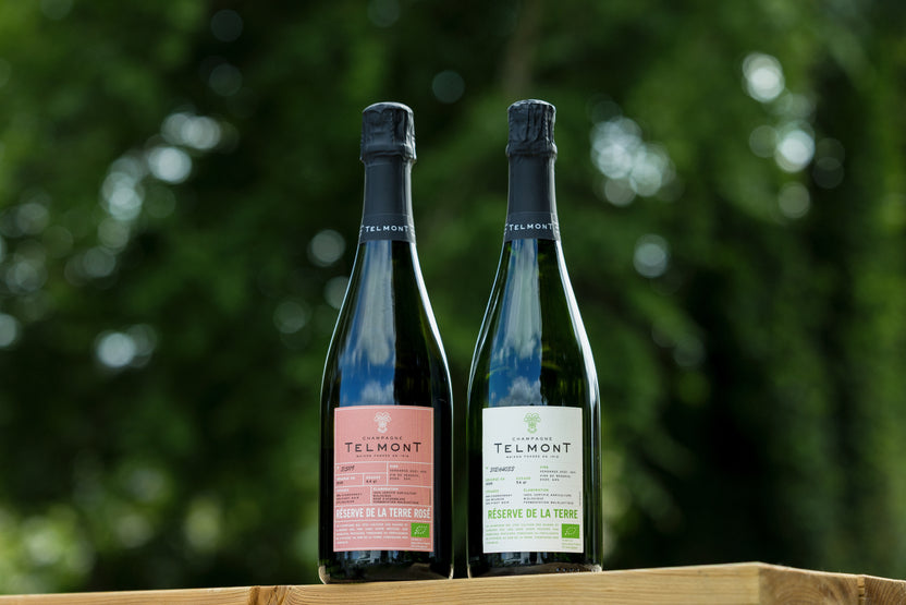 Champagne Telmont, maison fondée en 1912 – Champagne Telmont France